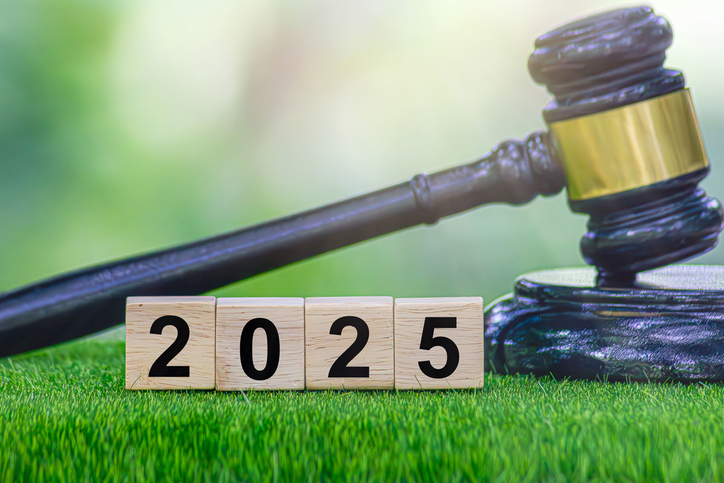 Family Law Trends 2025 | Martindale-Avvo